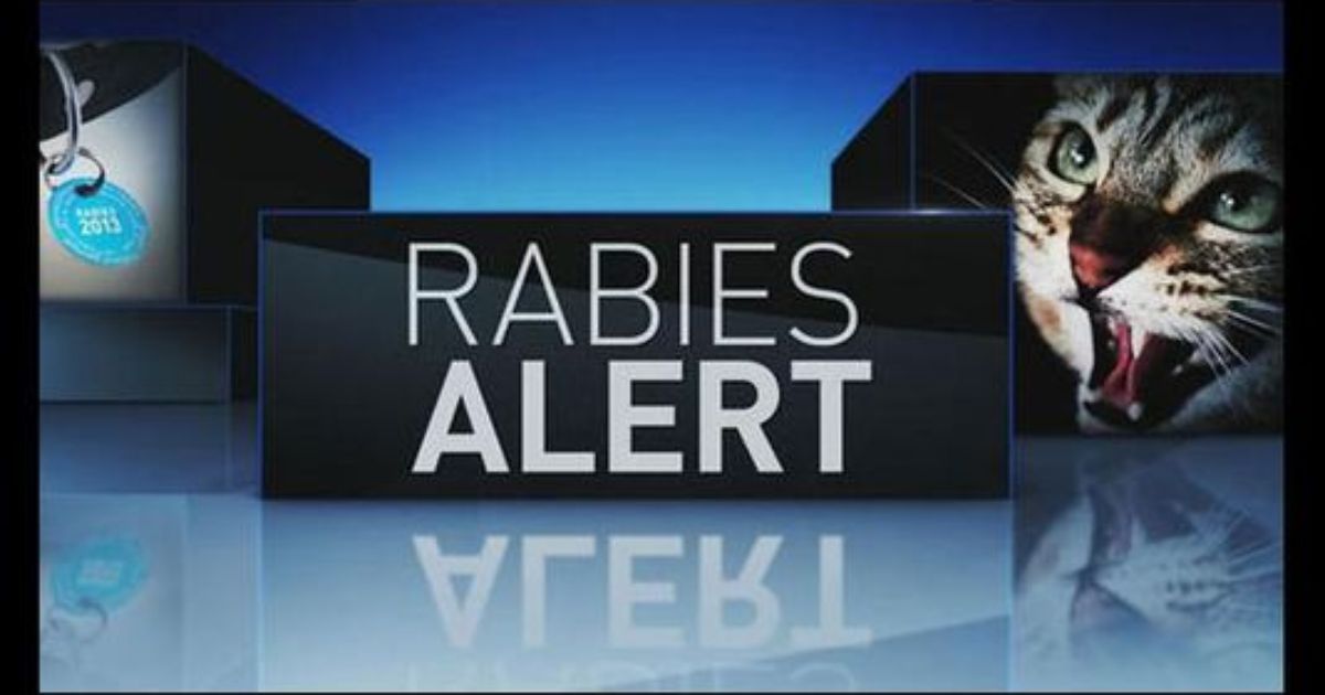 RABIES ALERT ISSUED FOR PALM CITY - Treasure Coast